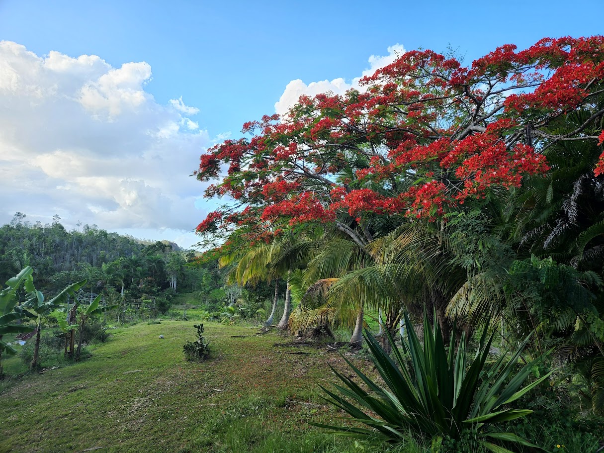 HonoringThem – Beautiful Online Memorials For Loved Ones