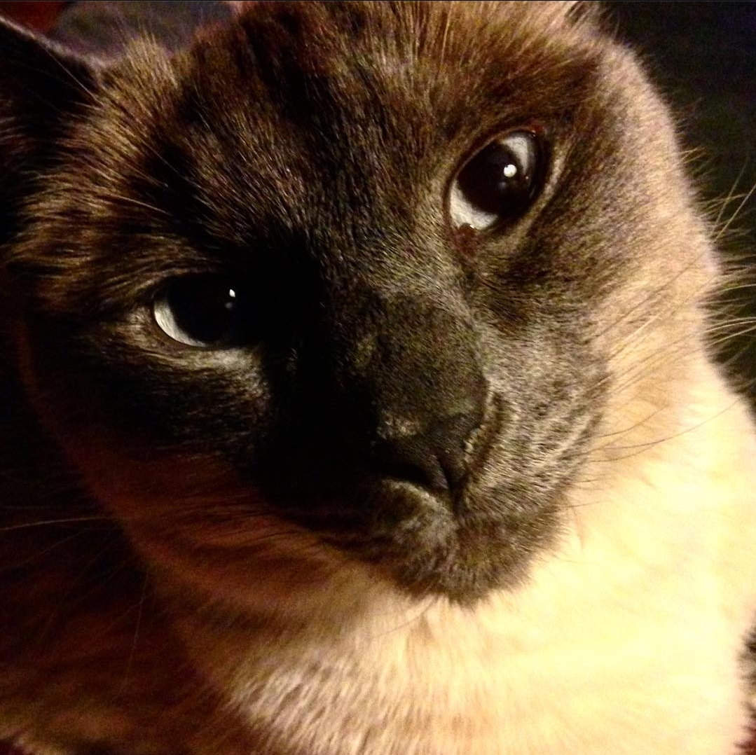 HonoringThem – Beautiful Online Memorials For Loved Ones