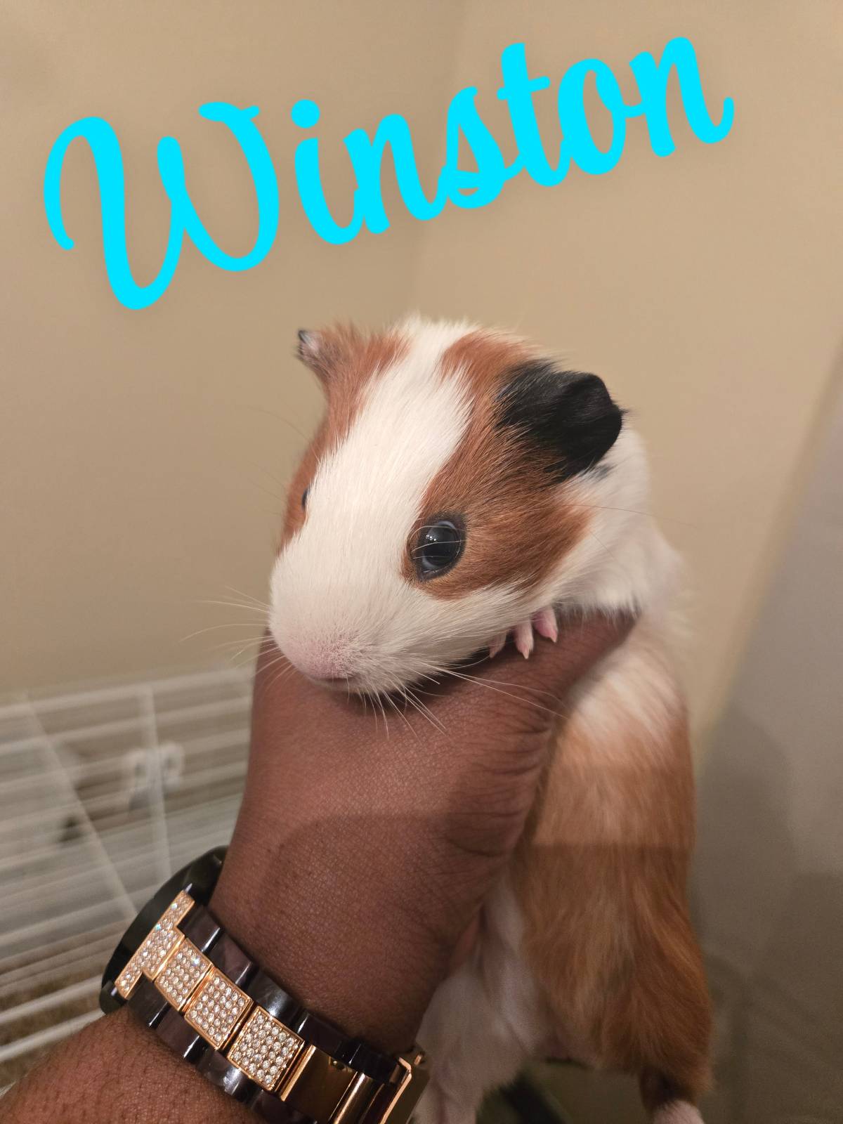 HonoringThem – Beautiful Online Memorials For Loved Ones