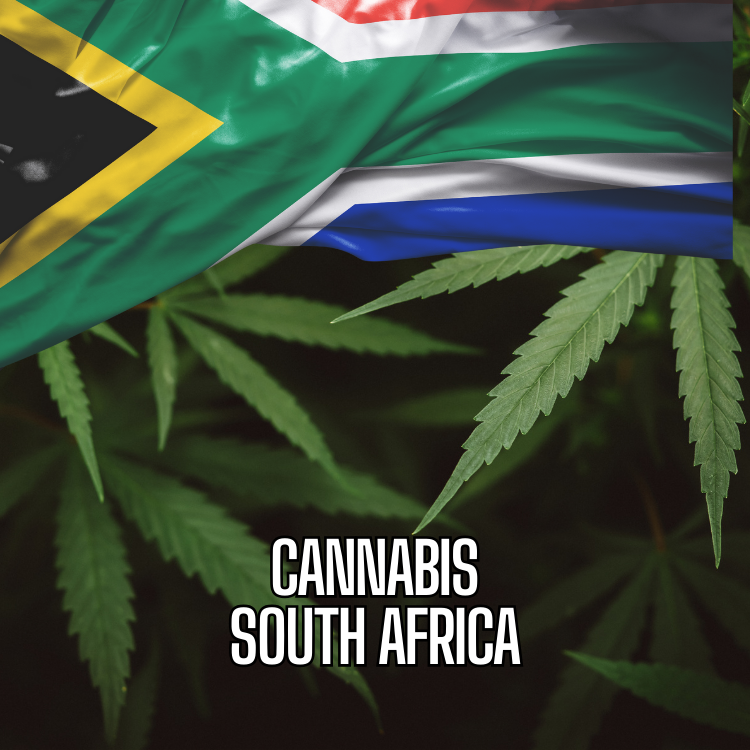 Cannabiz Africa – Cannabis News, Lifestyle & Marketplace