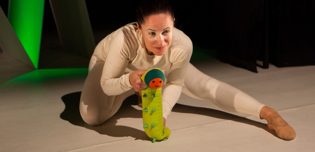 nautes.cat - Rrrrr. Història d’una eruga a Sitges