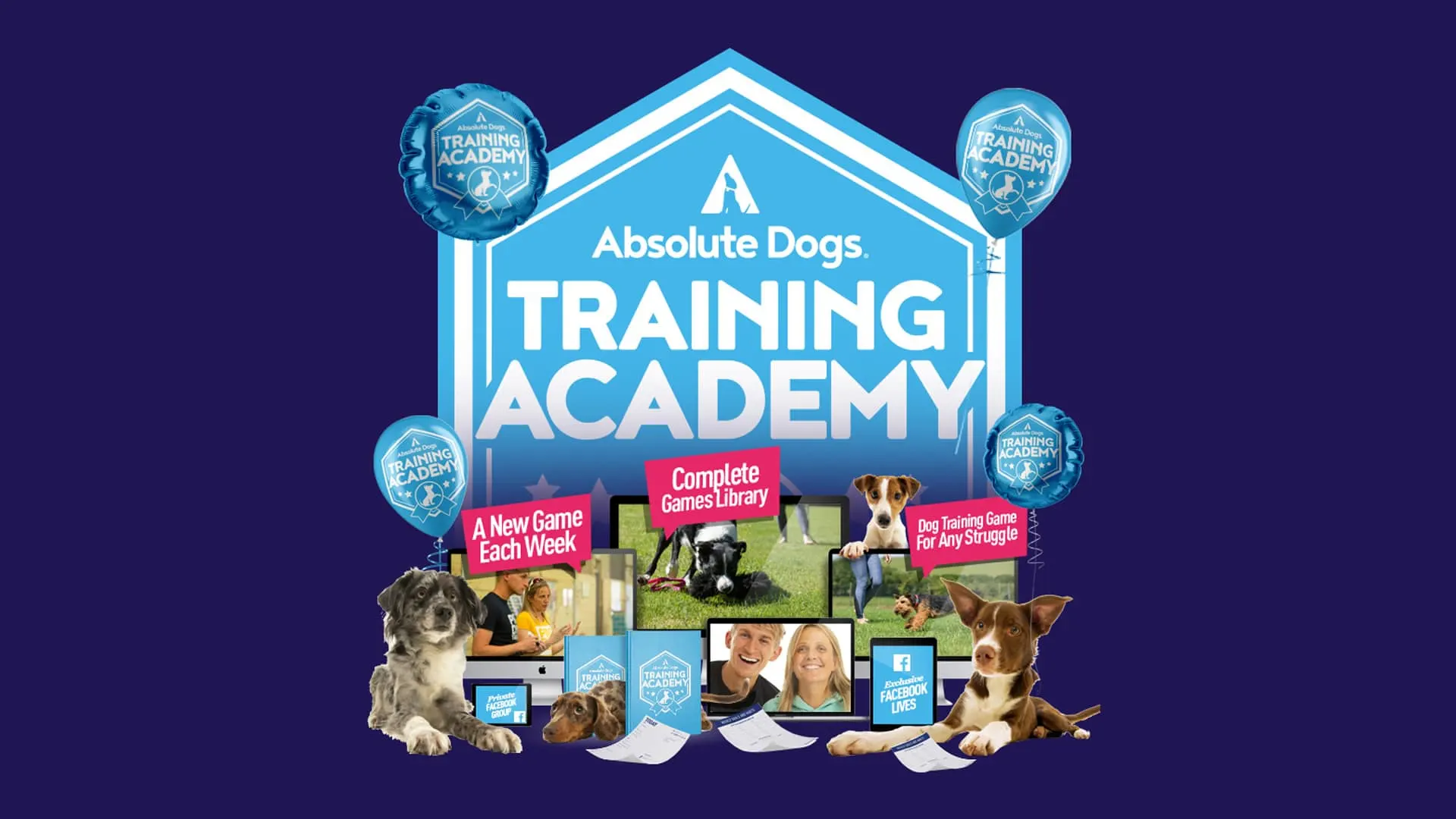 Absolute Dogs Training Academy, the Netflix of Dog Training - Horton Dogs