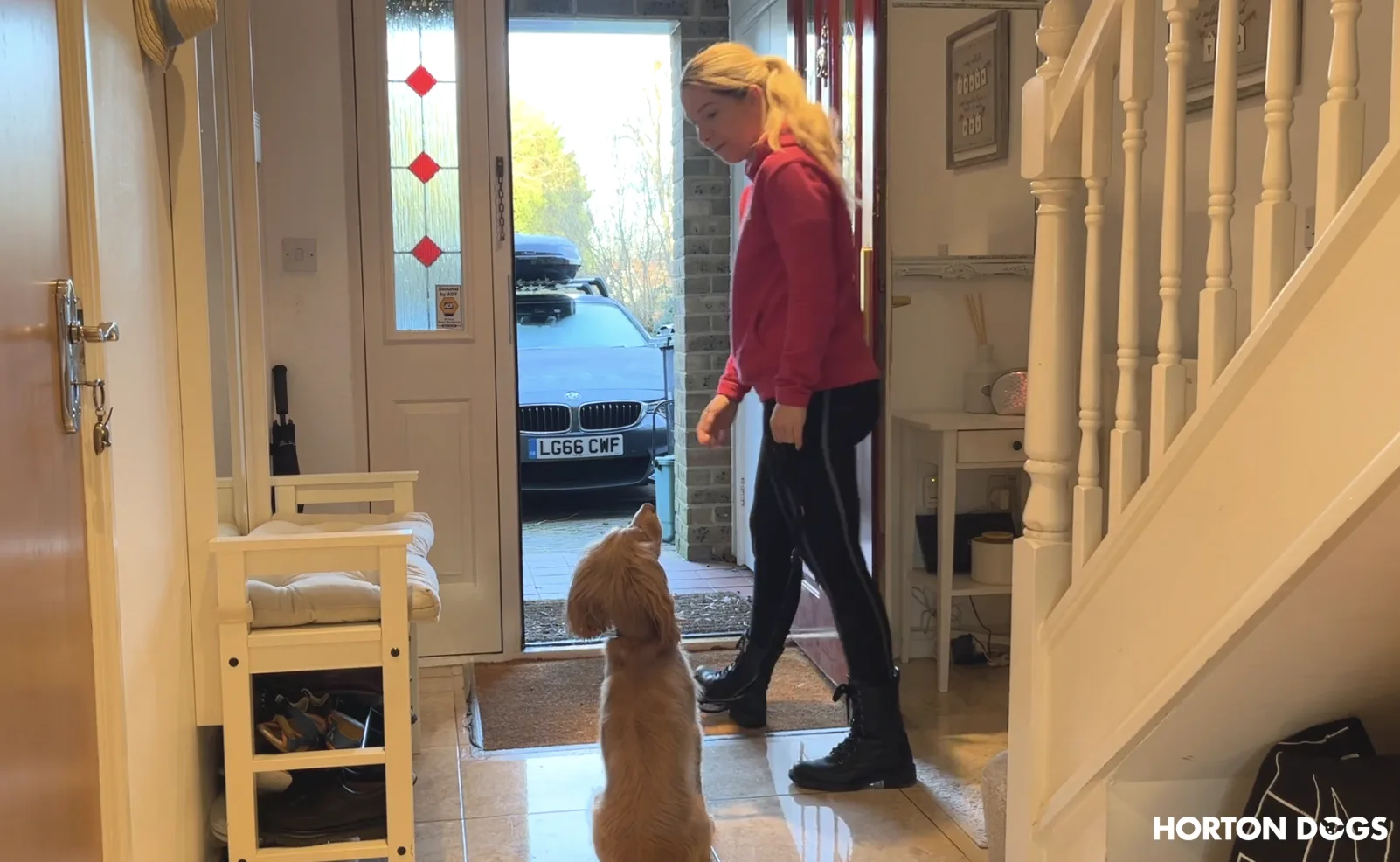 How I Stopped Rocket My Crazy Cocker Spaniel Darting Out The Door ...