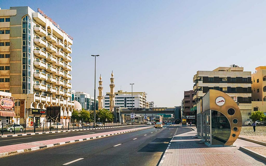 Shroom | Discover a Place You Will Love