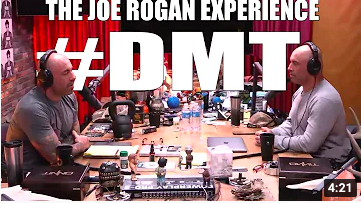 Joe Rogan Video - Joe Rogan & Roe Jogan Talk DMT Experiences