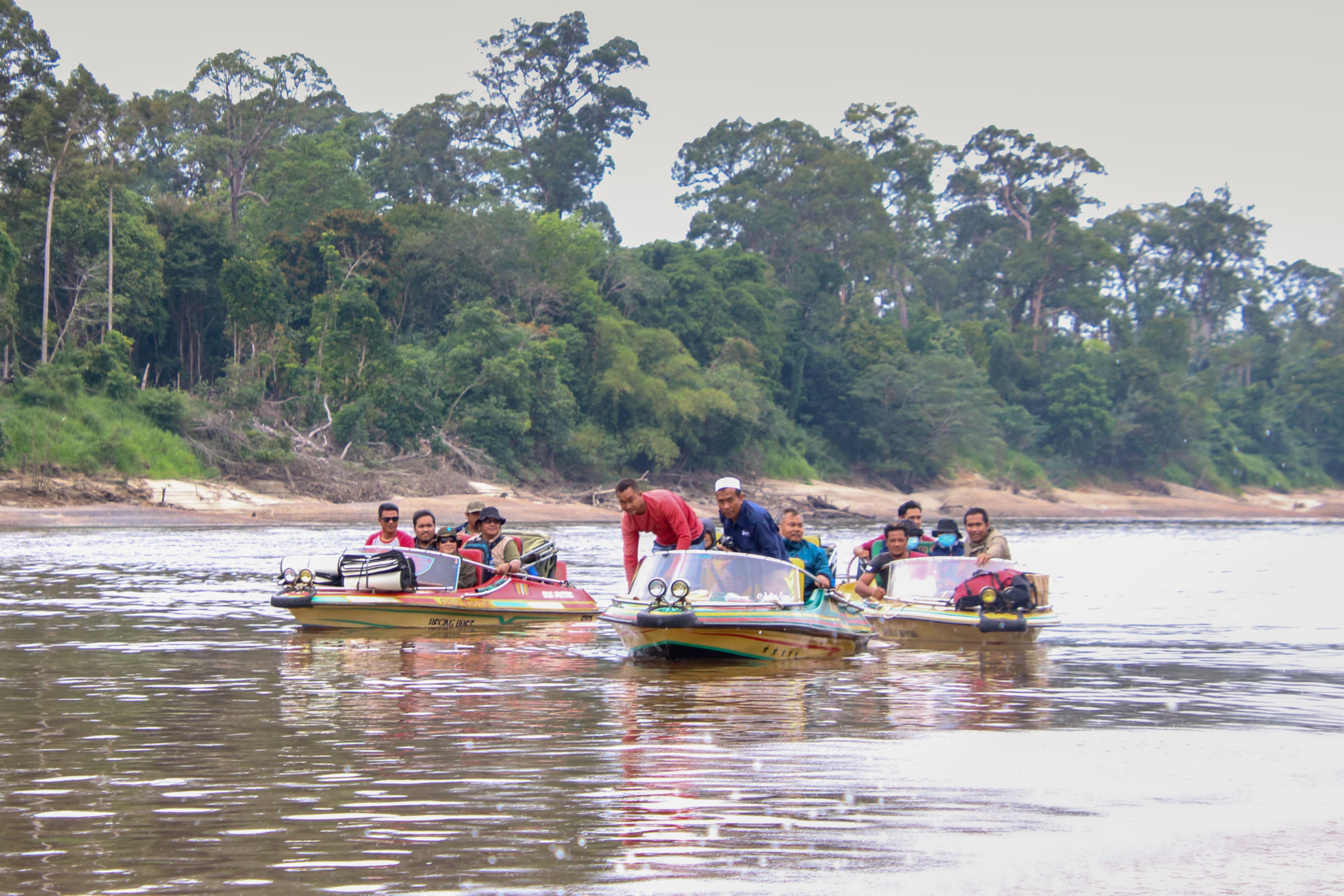 Detail of Get to know the Uud Danum Dayak Tribe, Guardians of Nature in ...