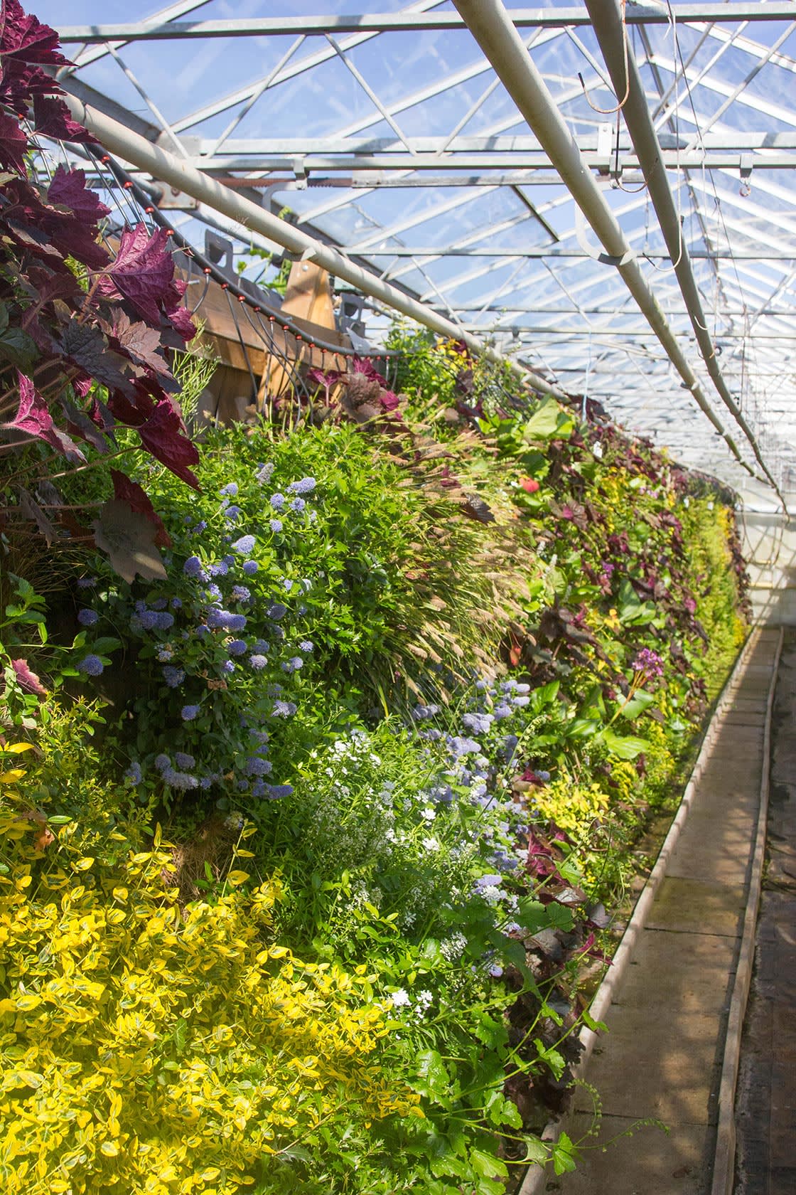 Canopy - Bedrijfsbezoek sempergreen optigroen nl