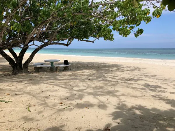 Negril Vacation Guide