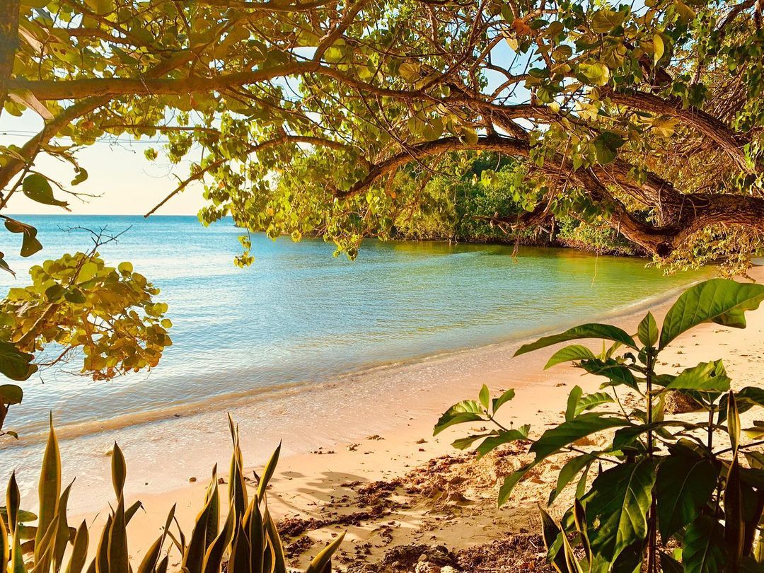 Best Beaches in Negril