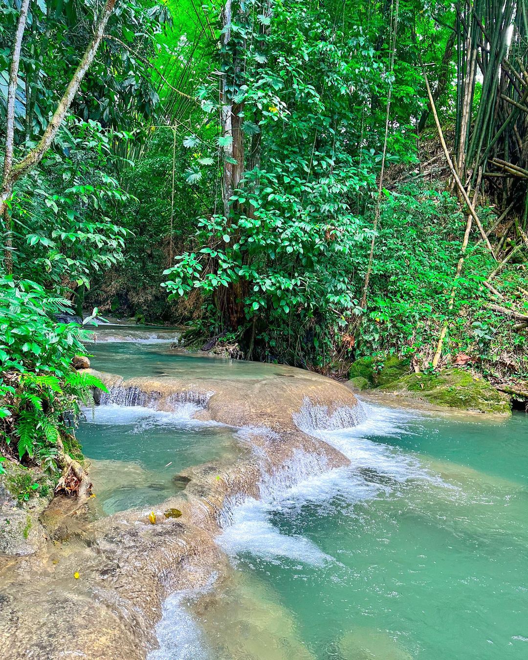 Best Waterfalls in Negril