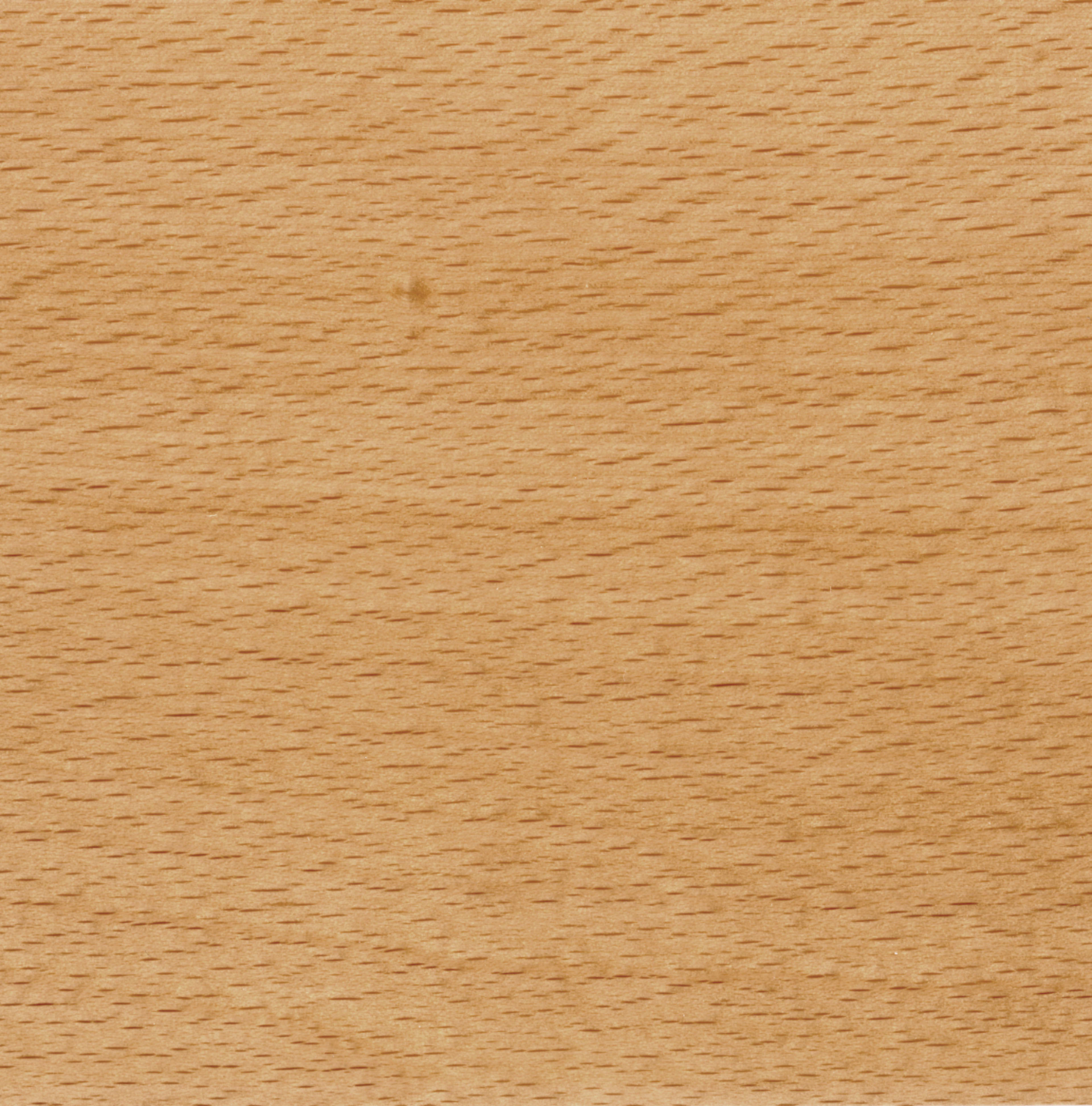 Beech | Wood types | Materials | Carl Hansen & Søn