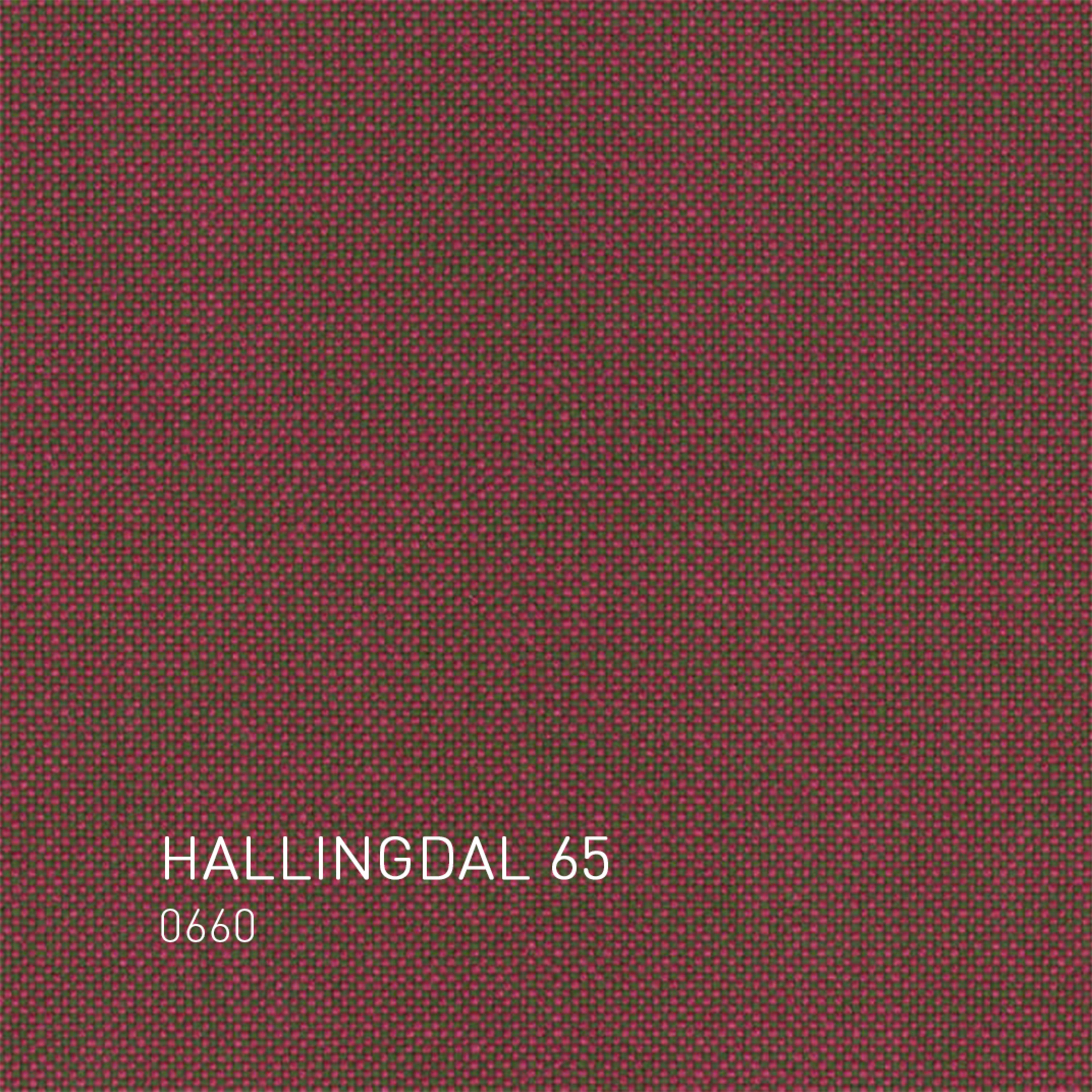 Hallingdal 65