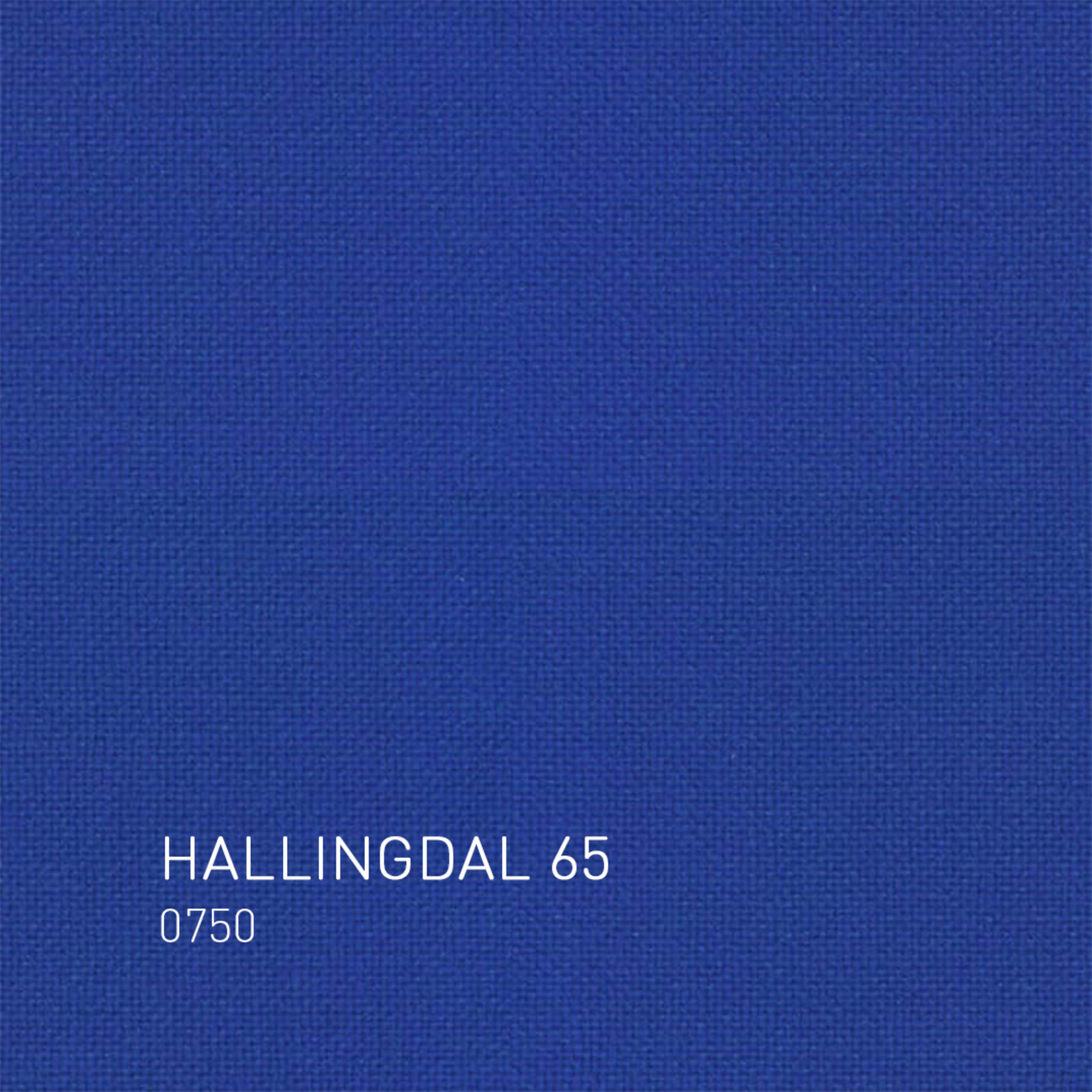 Hallingdal 65