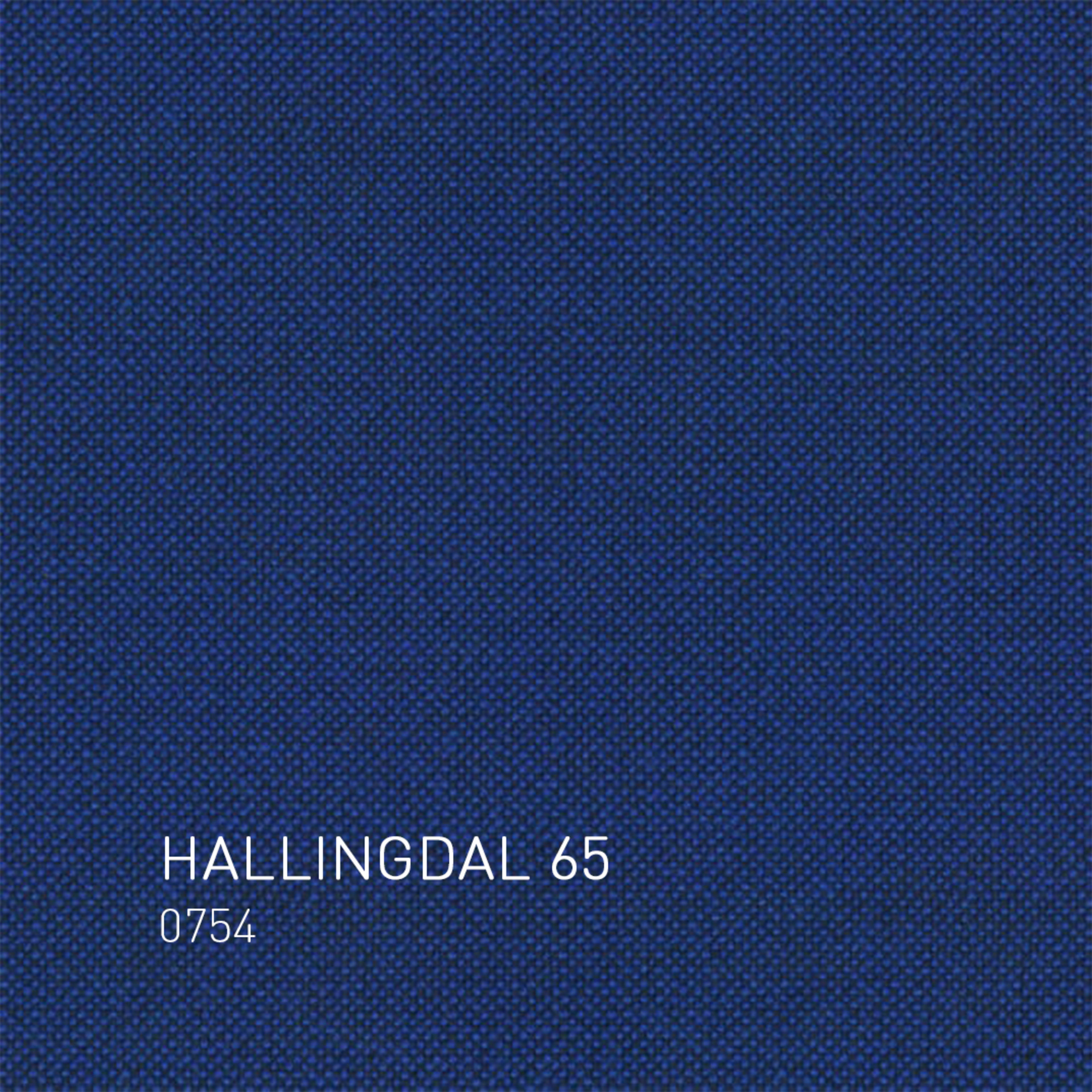 Hallingdal 65