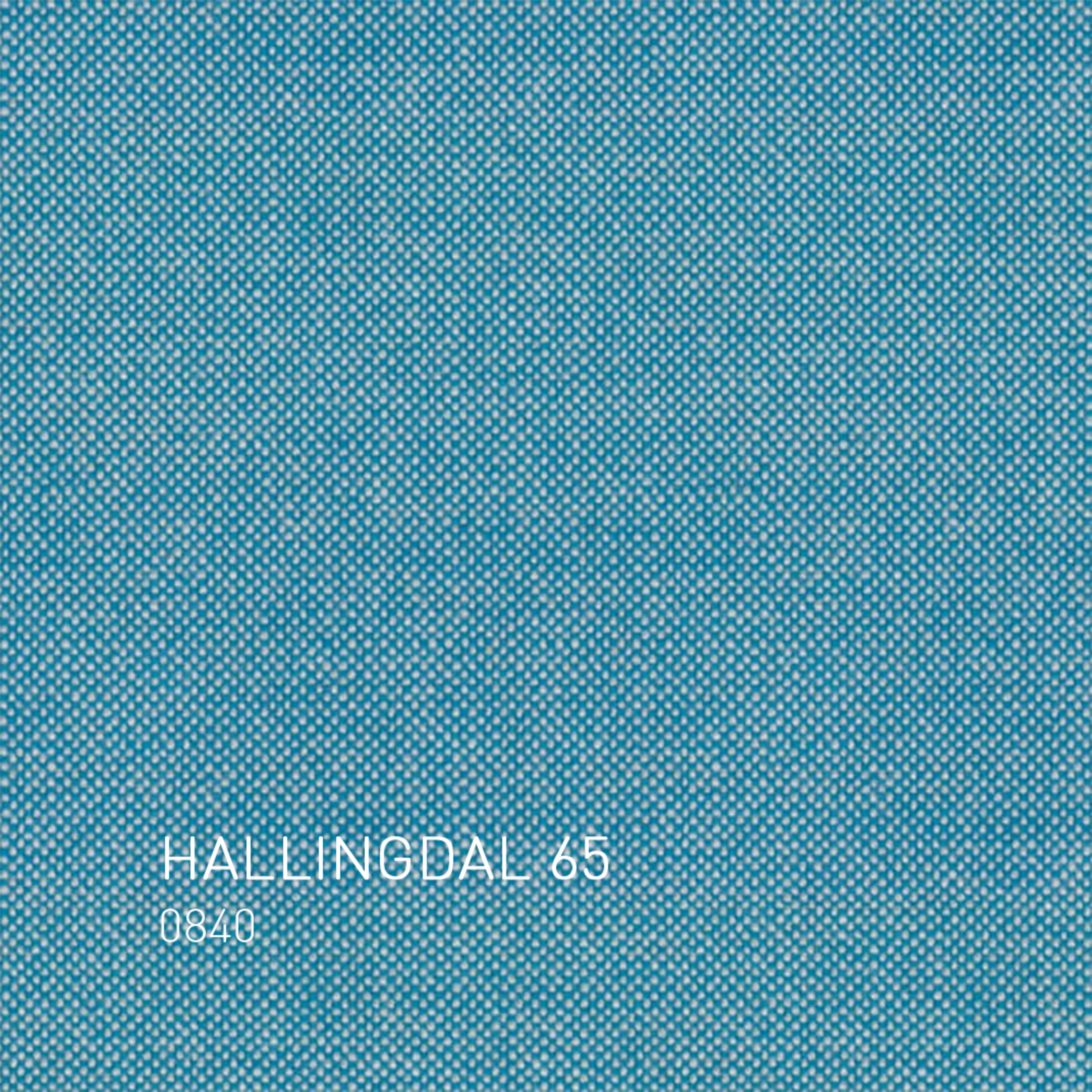 Hallingdal 65