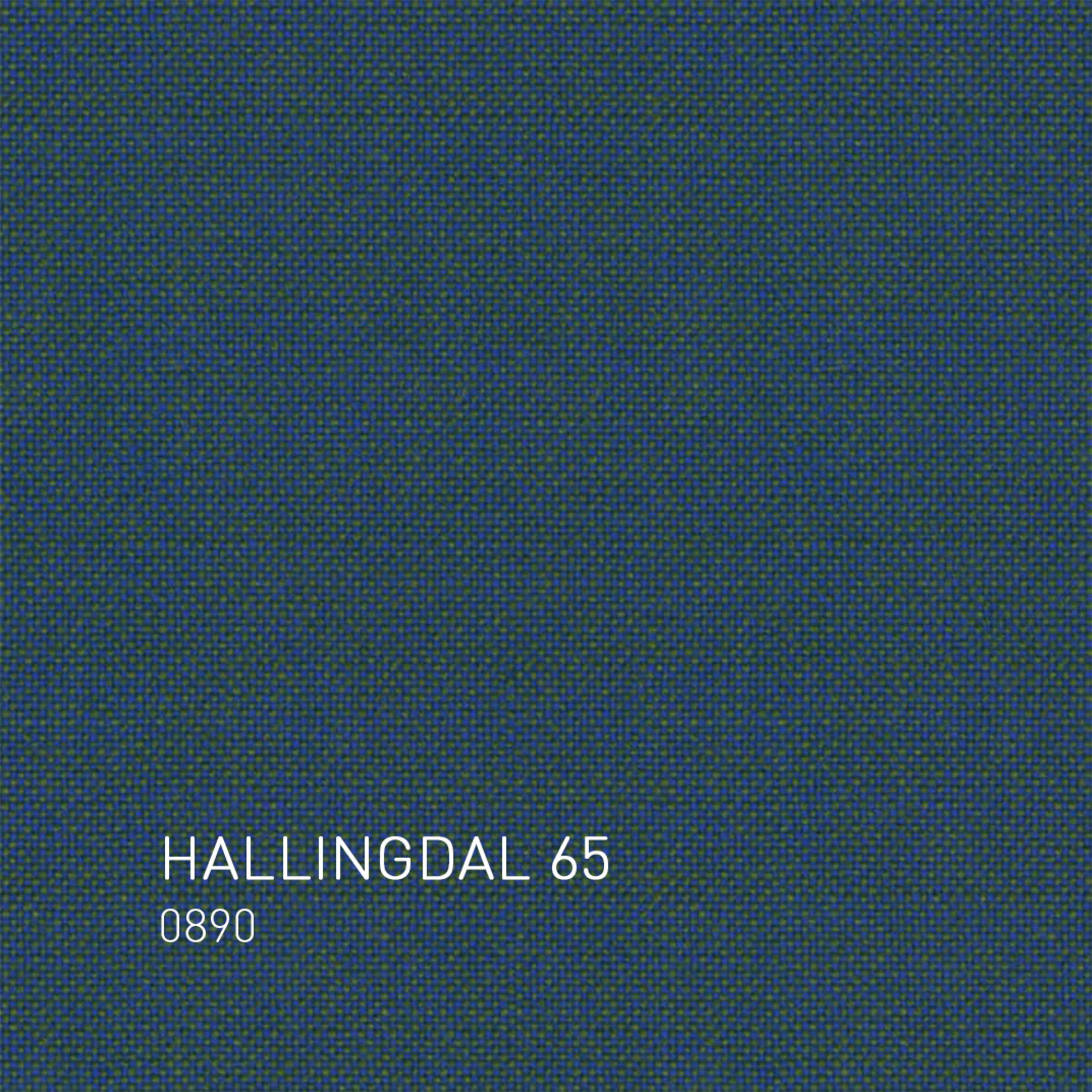 Hallingdal 65