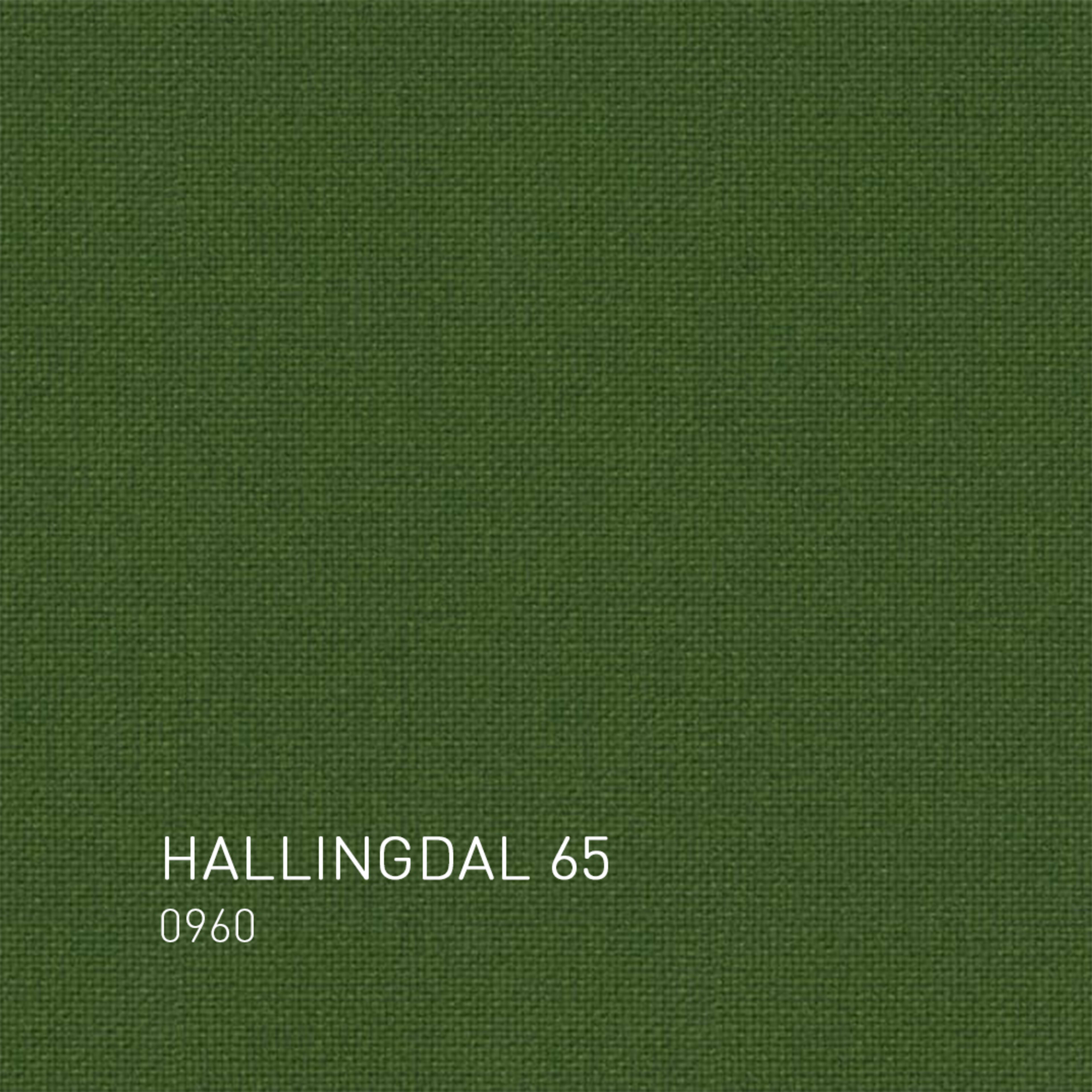 Hallingdal 65