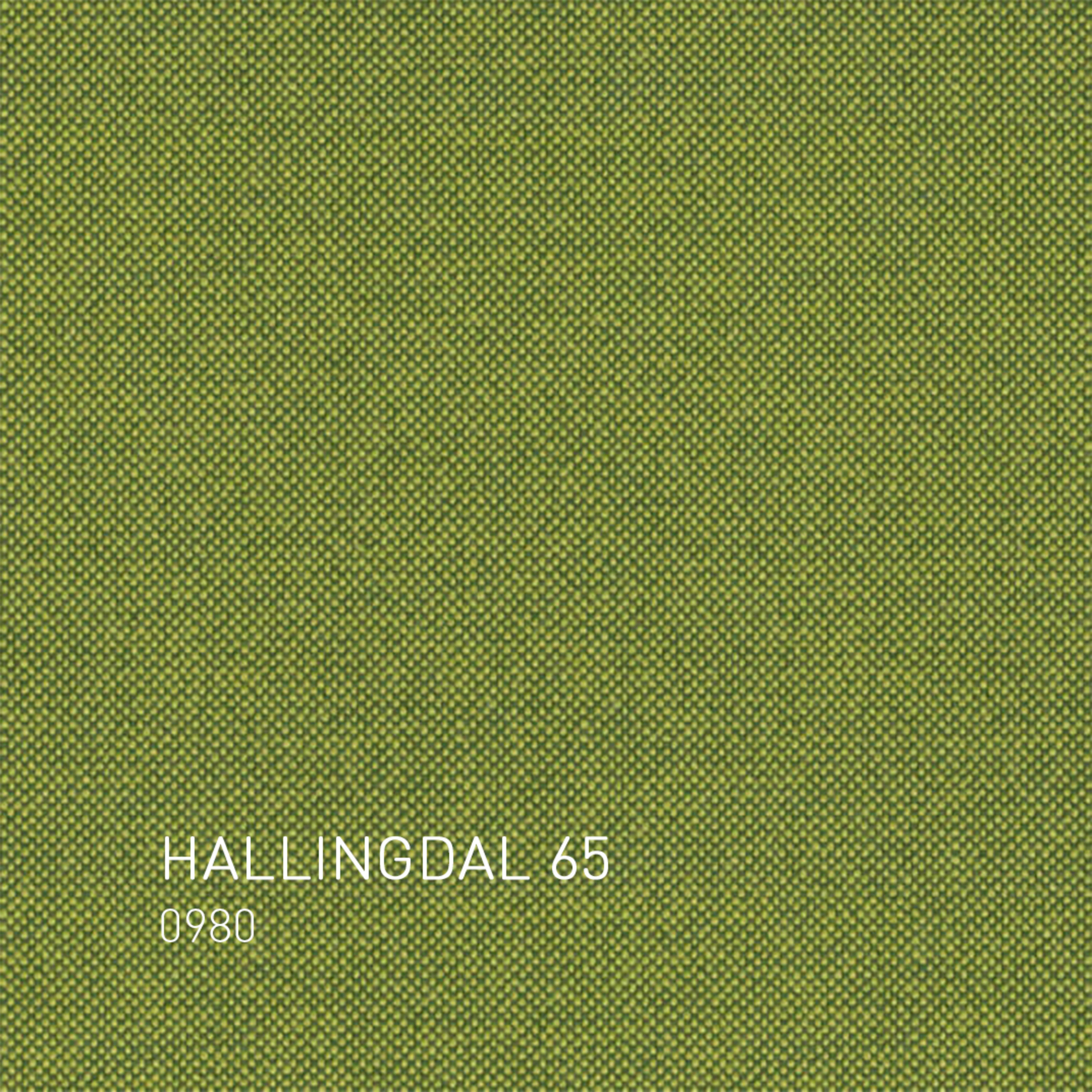 Hallingdal 65