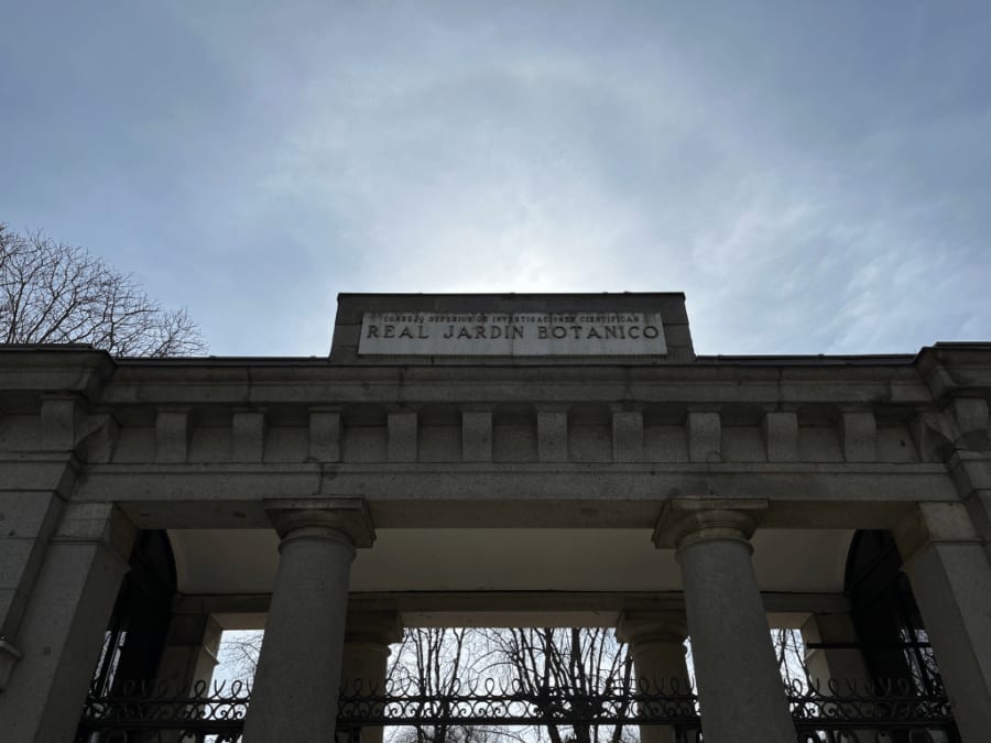 Spring in Madrid: 13 Best Places To See & Things To Do