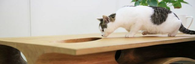 CAT Table, estación de trabajo y paraíso para los gatos | ideasDi.com ...