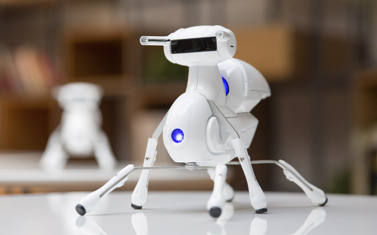 Robot biónico Antbo: Diseño que fusiona aprendizaje y diversión ...