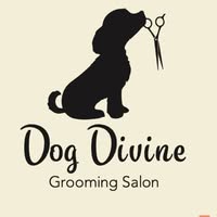 Dog Grooming in M27 (Manchester) | FindPetGroomers