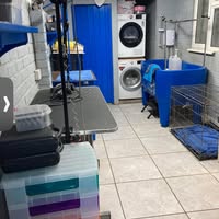 Dog Grooming Rowley Regis (B65) | FindPetGroomers
