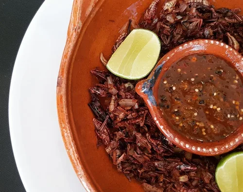 Salsa de Chapulines: Explorando el Delicioso Mundo de la Cocina ...