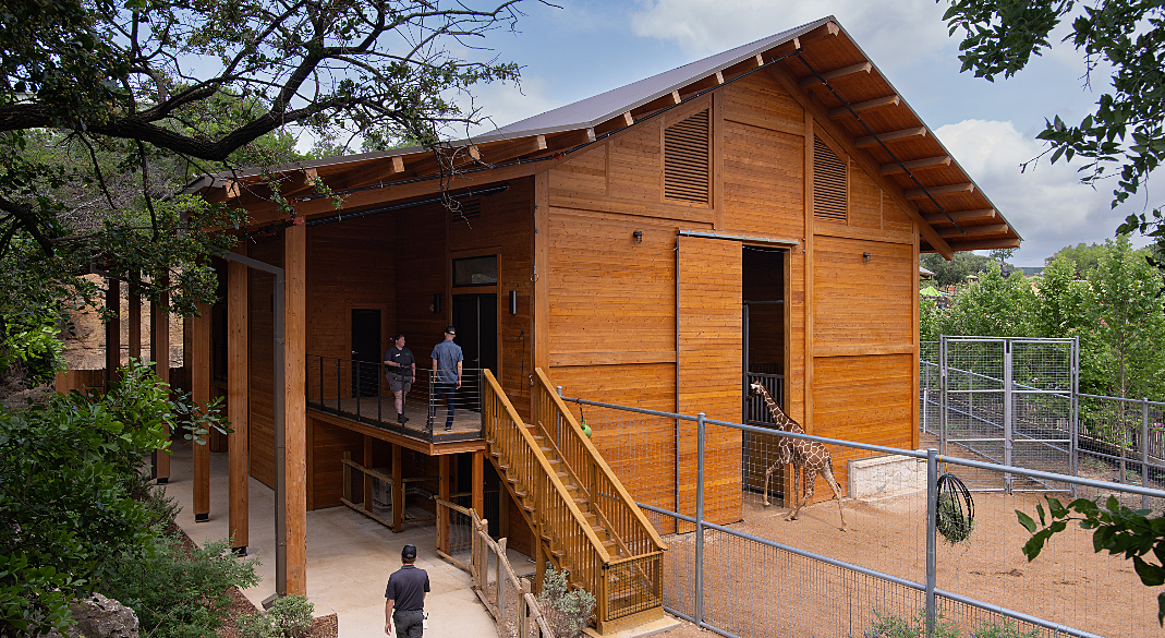 San Antonio Zoo Naylor Giraffe Barn - Mass Timber WIN Project ...