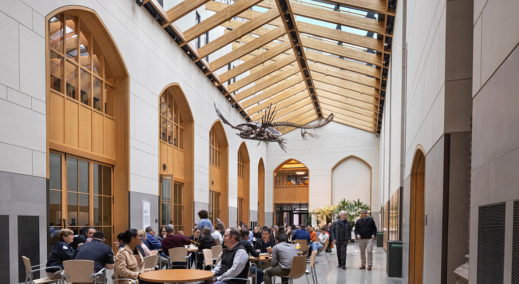 Yale Peabody Museum - Mass Timber WIN Project | WoodWorks Innovation ...