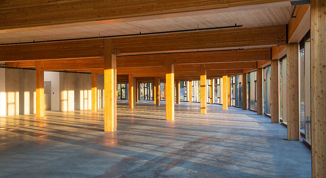 Lakeview Office Building - Mass Timber WIN Project | WoodWorks ...