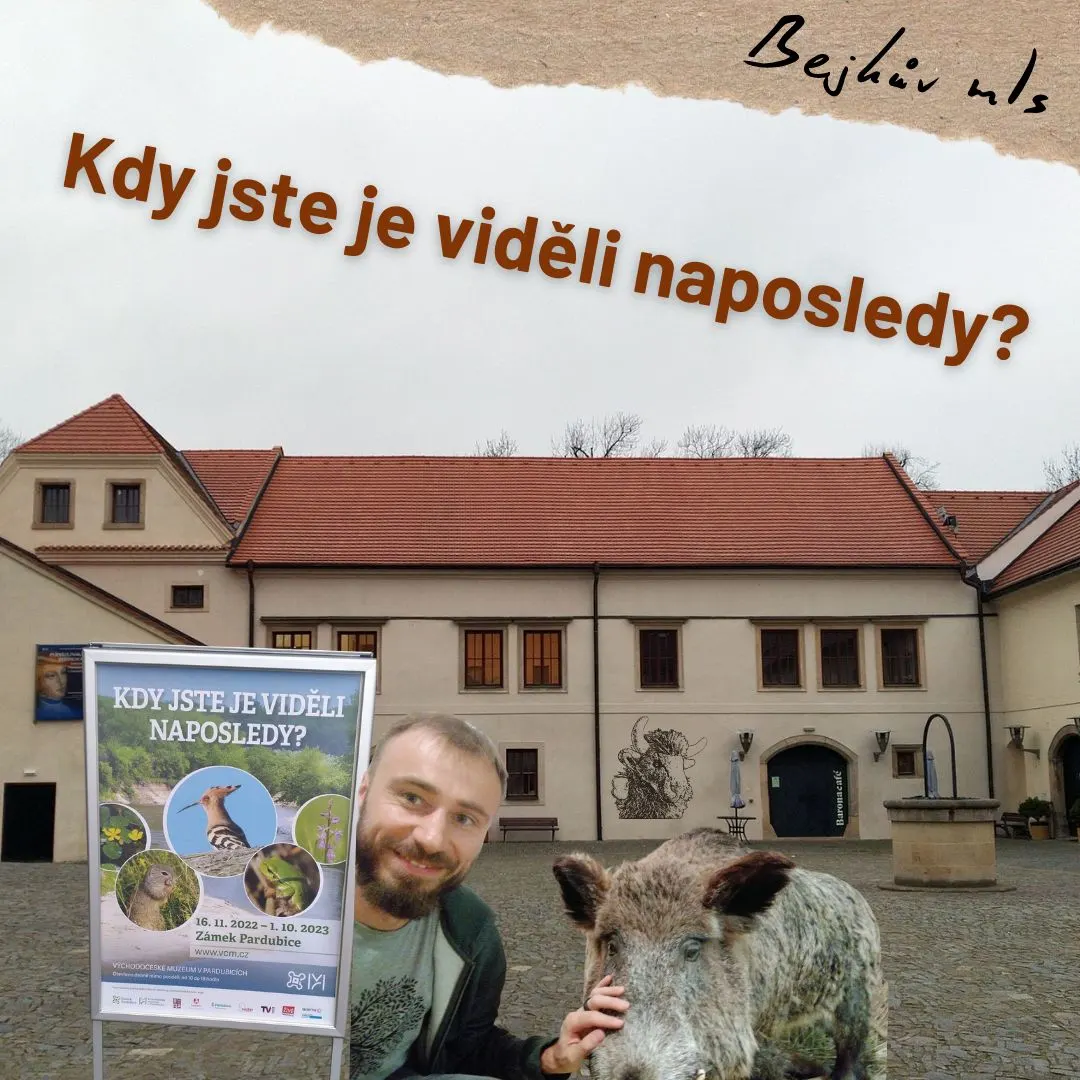 Zámek Pardubice výstava "Kdy jste je viděli naposledy?"