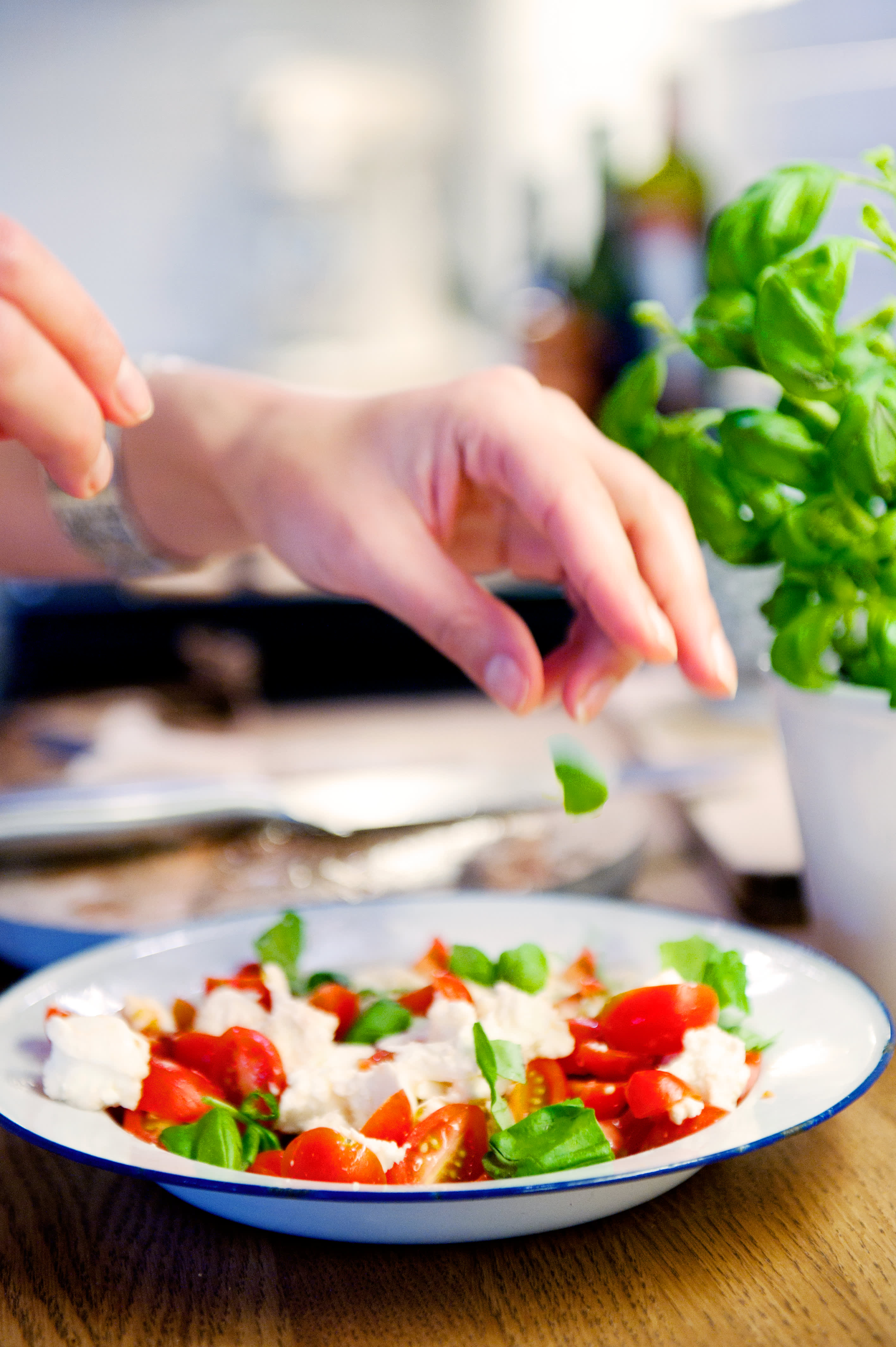 Mariangelas italienske fristelser | Norema