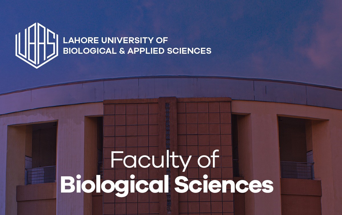 UBAS Fee Structure 2025, Spring Admissions [Updated] - Graduate