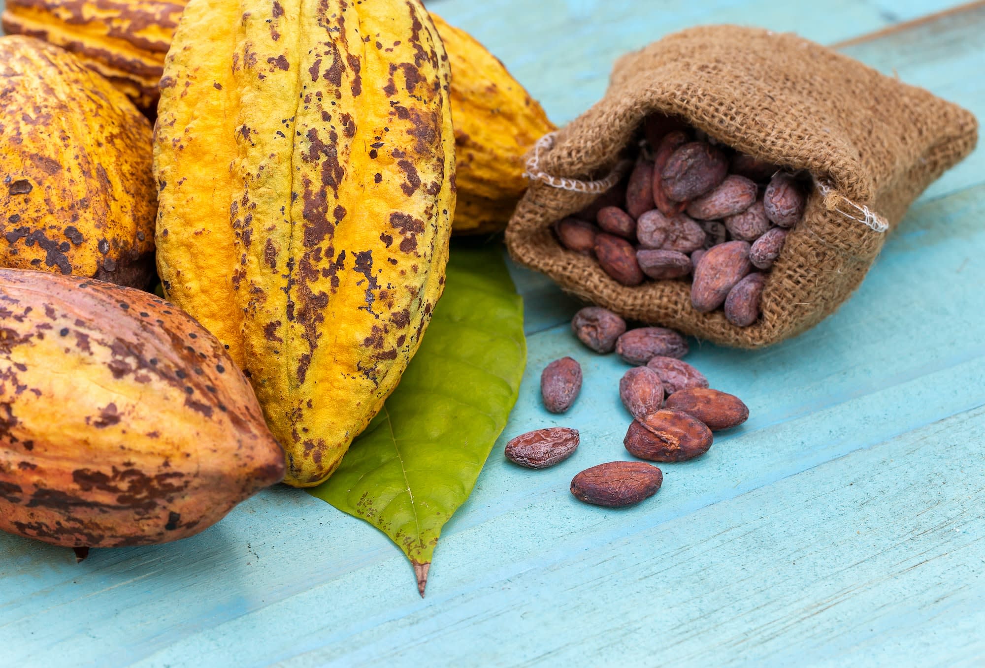 Chocolat addict ? Découvrez comment votre addiction affecte l'environnement