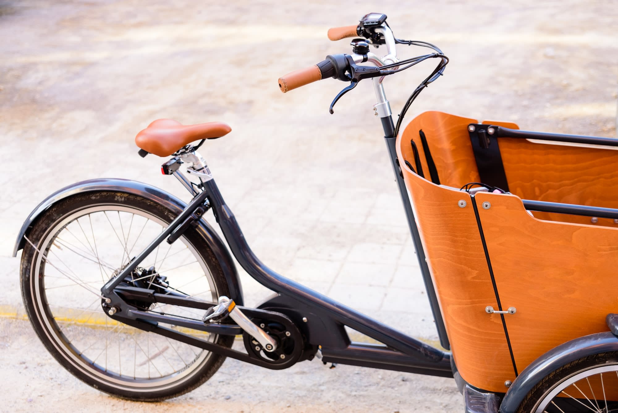 Sobriété : Découvrez le vélo cargo, la révolution du transport ...