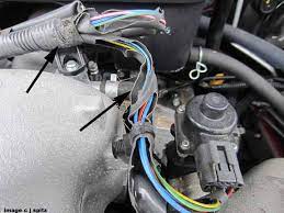 Rats Chewing Vehicle Wires In Memphis TN - Apex Wildlife Control