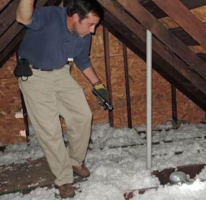 Your Rat Inspection - Apex Wildlife Control