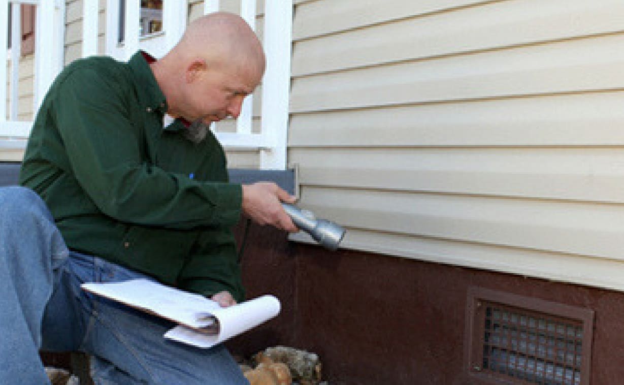 Your Rat Inspection - Apex Wildlife Control