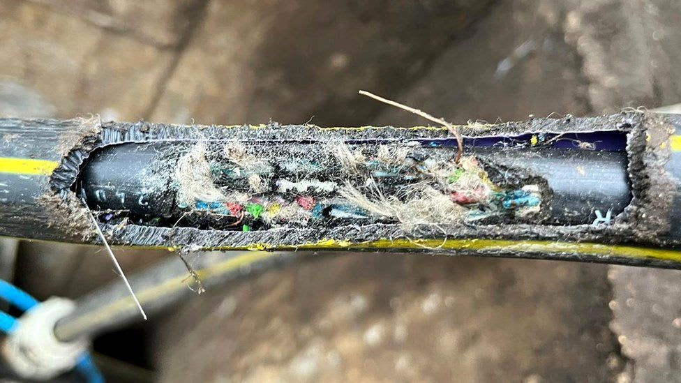 Rats Chewing AC Wires In Memphis TN - Apex Wildlife Control