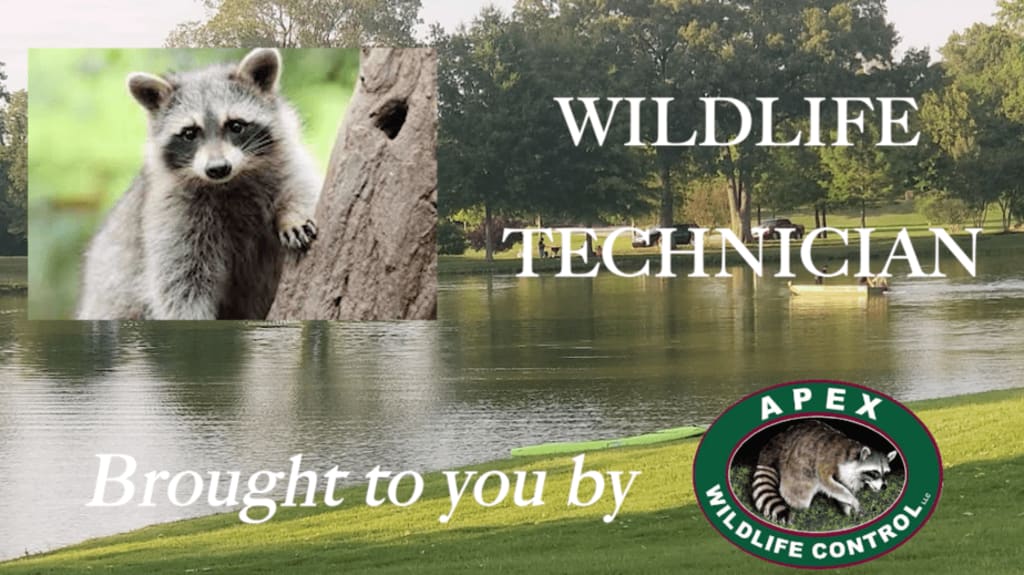 Careers - Apex Wildlife Control