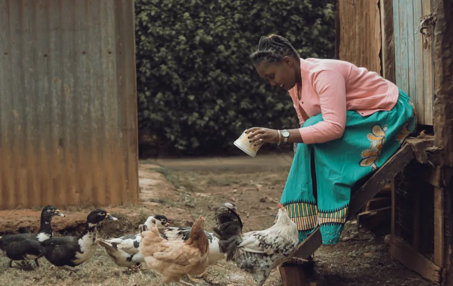 The Ongoing Threat of Avian Influenza (Bird Flu) - Hydrachem