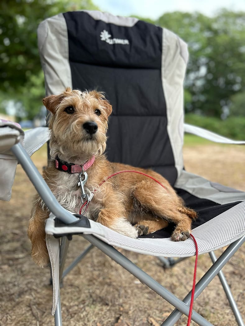 Sam, Hannah & Bonnie the dog - nohma.com ⚡