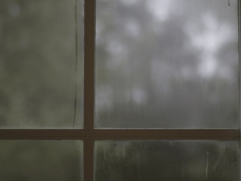 Common Glass Issues: Moisture Buildup Between Panes - SYD City Glass ...