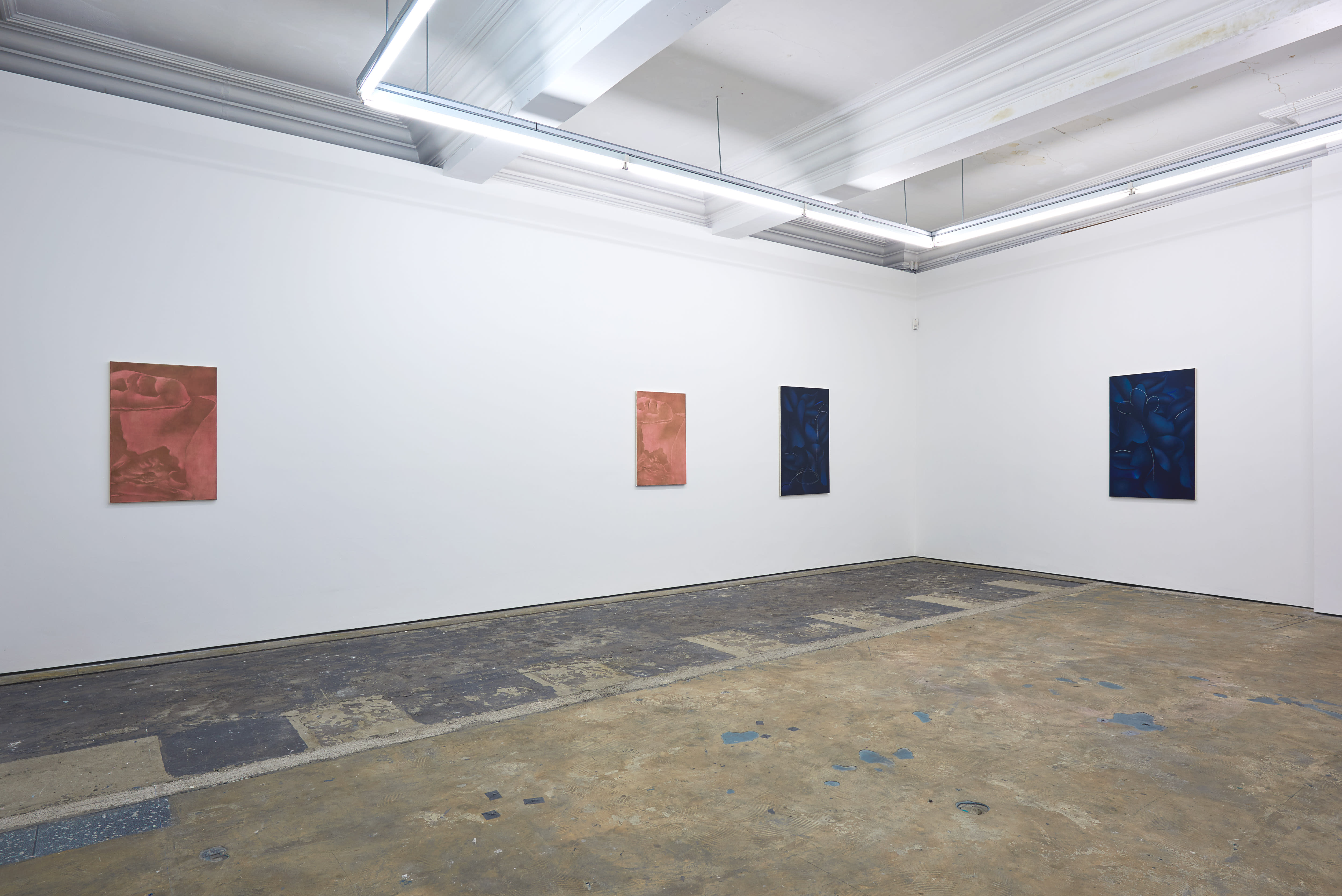 Louise Giovanelli – Louise Giovanelli - WORKPLACE