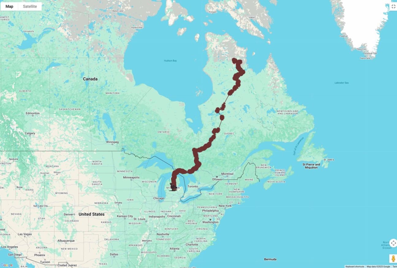 golden eagle migration time