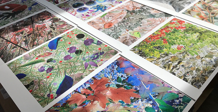 Nature (+) Gelli Plate Printmaking | Bernheim Forest and Arboretum