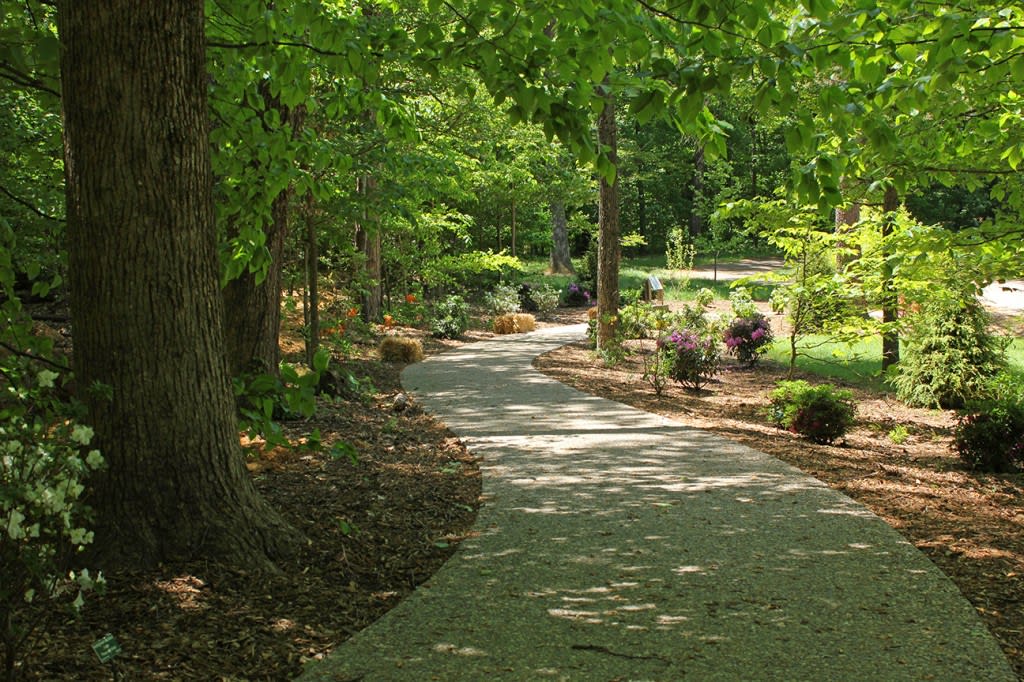 Big Prairie Overlook Path (0.25 mi) | Bernheim Forest and Arboretum