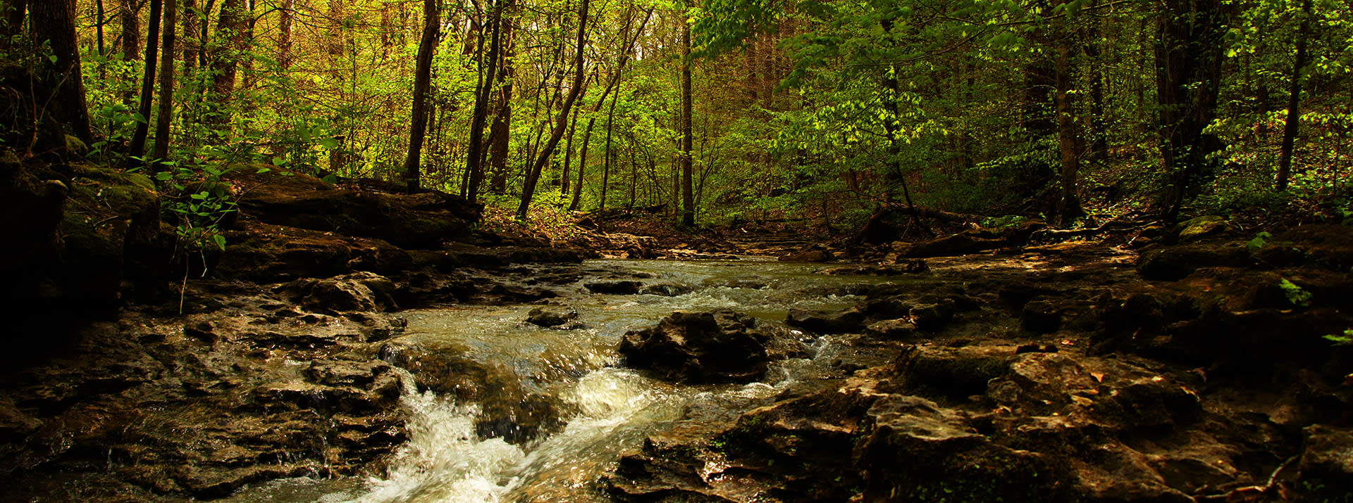 11 Honored with Isaac Wolfe Bernheim Climate Hero Award | Bernheim ...