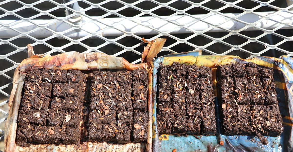 Soil Blocking: A Greener Approach to Garden Starters | Bernheim Forest ...